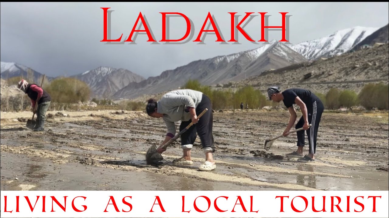 Farming with local people in Ladakh | Ep 1 - YouTube