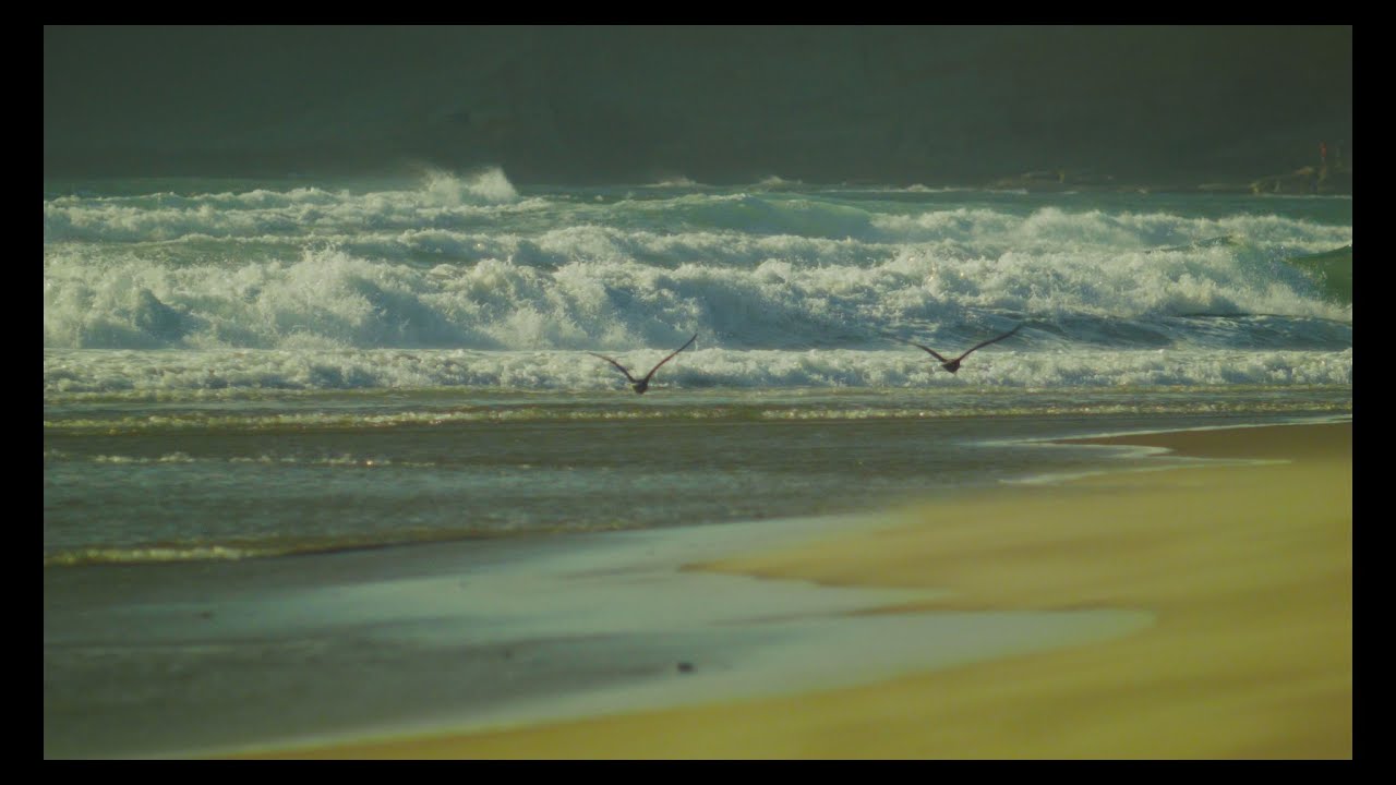 Now I Can See - YouTube