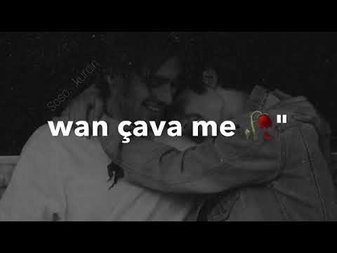 Ez hesreta wan Çava me🥀...Gula Çiya(šąřøķê)🥀...ممكن دعم للقناة🙋🏽‍♀️🥀
