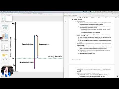 Membrane Potentials 3 Depolarization, Hyperpolarization, Repolarization ...