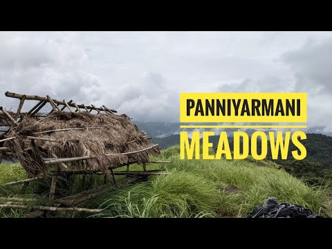 Panniyarmani meadows Unseen hills of kasaragod | Ooty weather in ...