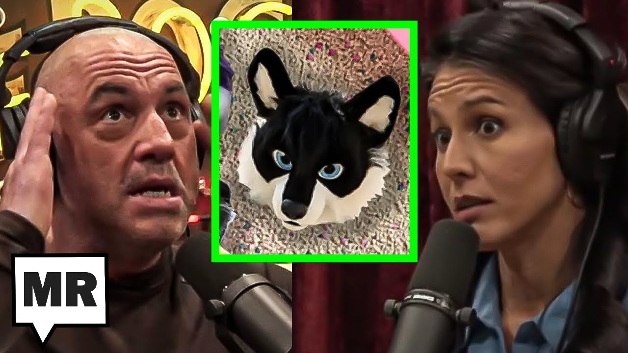 Rogan And Tulsi Push Right-Wing’s Furry Elementary School Hoax - YouTube