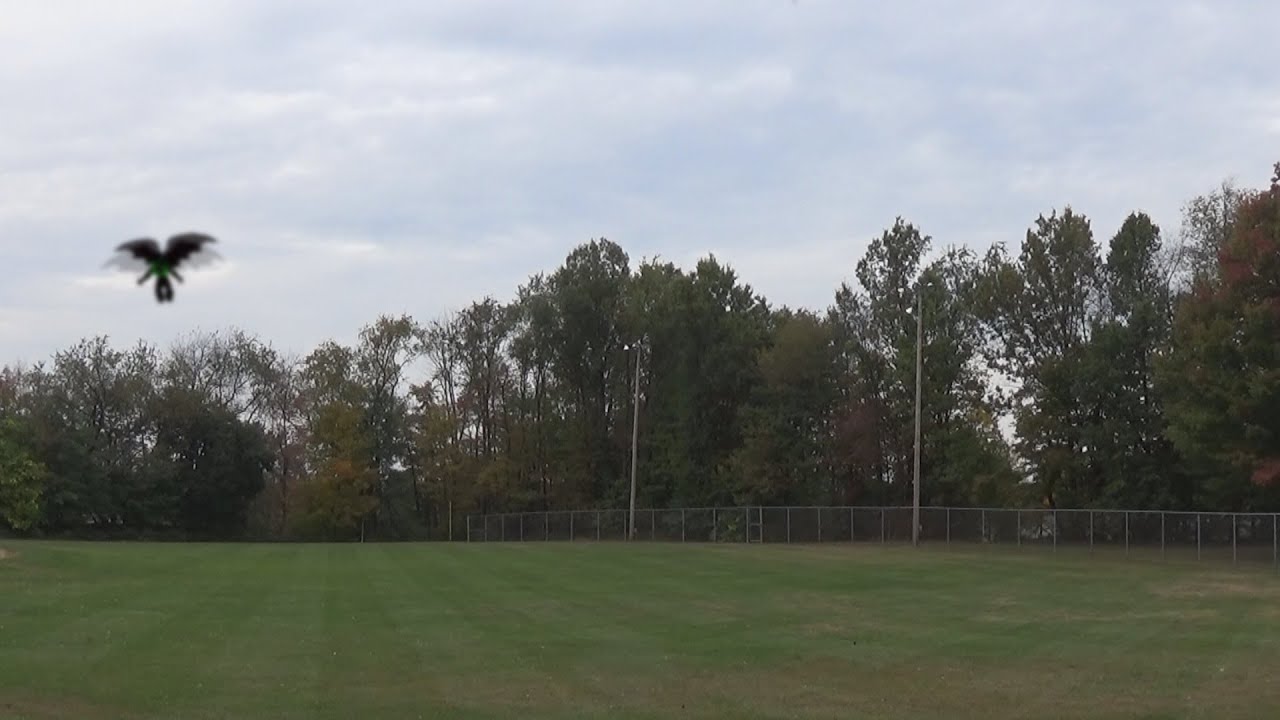 Flying Demon Caught On Tape - YouTube