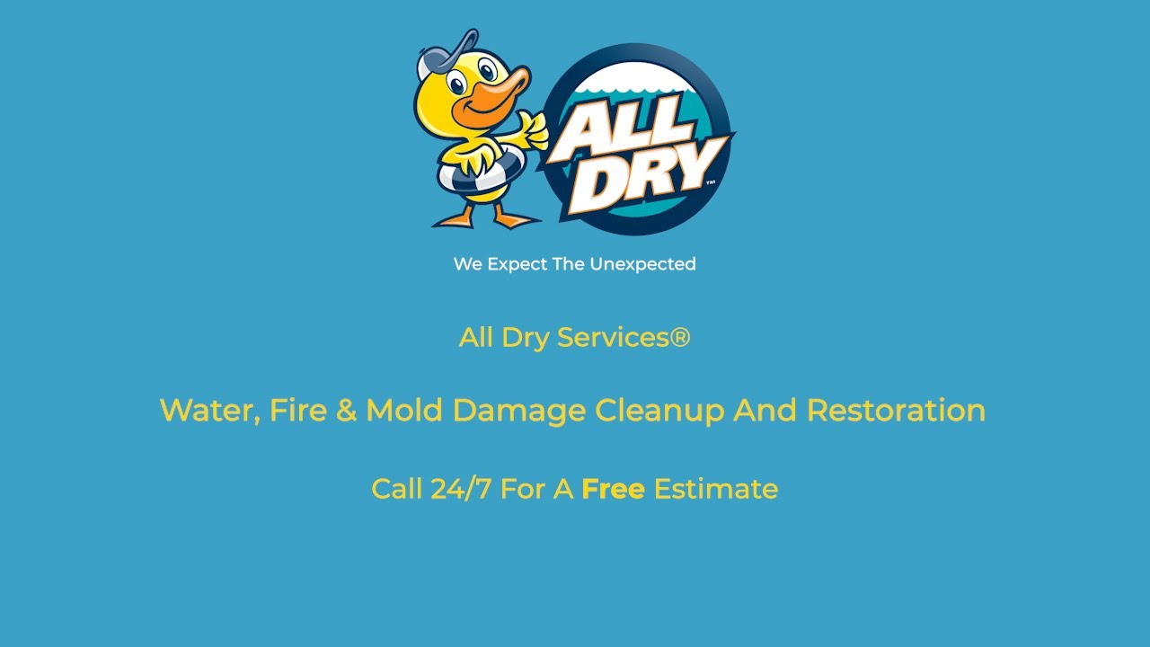 All Dry Services - YouTube