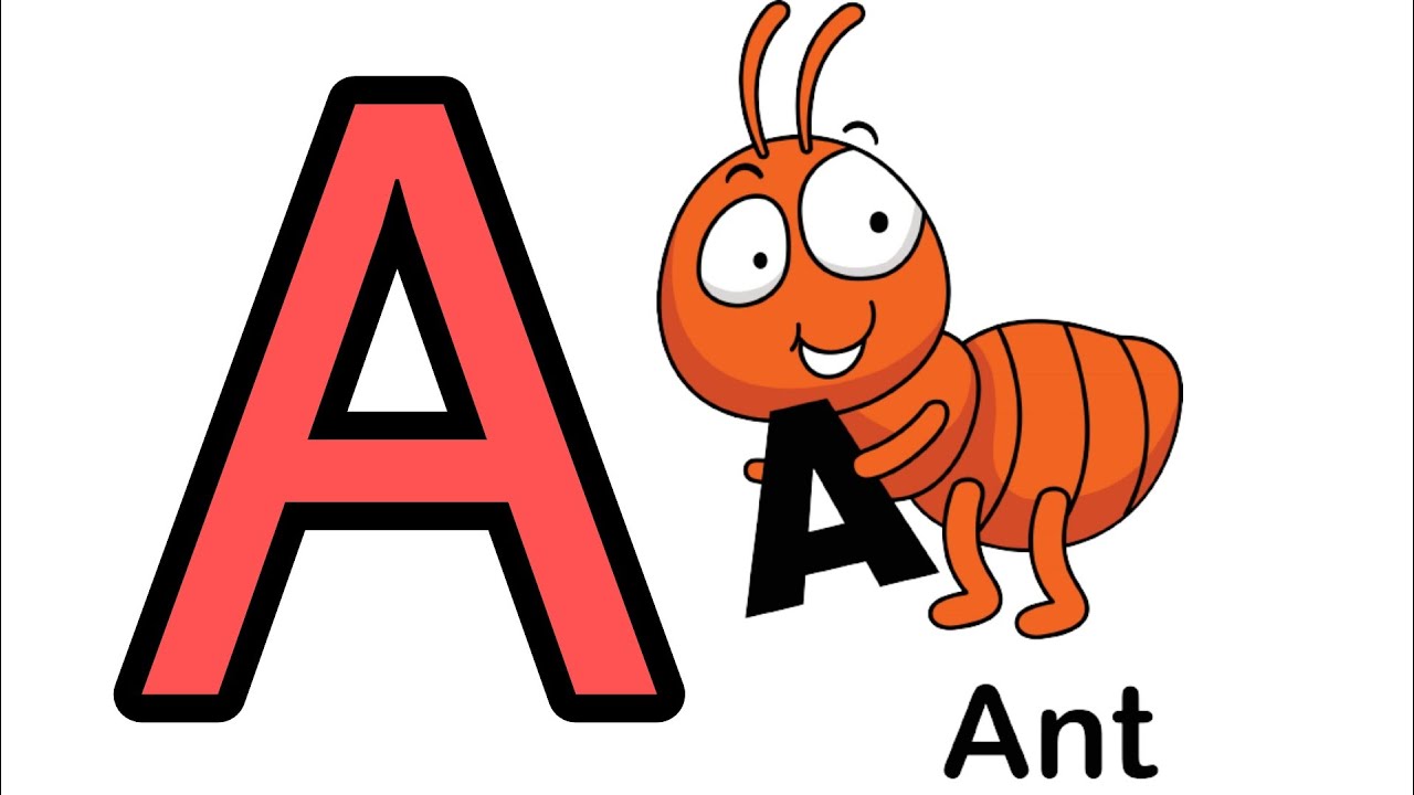A for ant 🐜 B for ball 🏀, ABCD phonic sound, abc song for kids, learn ...