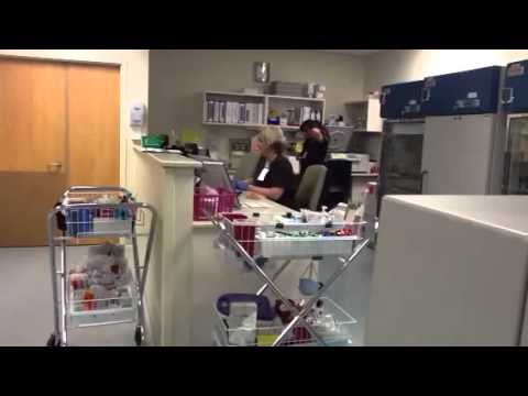 Am specimen processing - YouTube