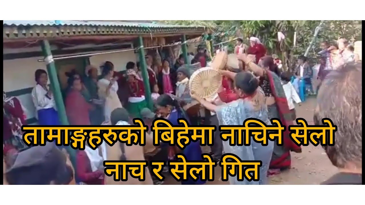 तामङ्गहरुको बिहेमा नाचिने सेलो गित र डम्फु नाछ | Tamang Jati Selo Nach ...