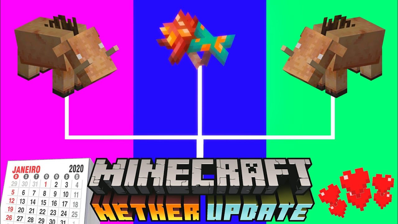 RECURSO INÉDITO + CONFIRMAÇÕES & MINECRAFT PE 1.15 NETHER UPDATE SAI EM ...