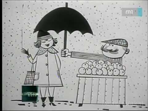 Hogy készült az Időjárás jelentés az MTV-ben?