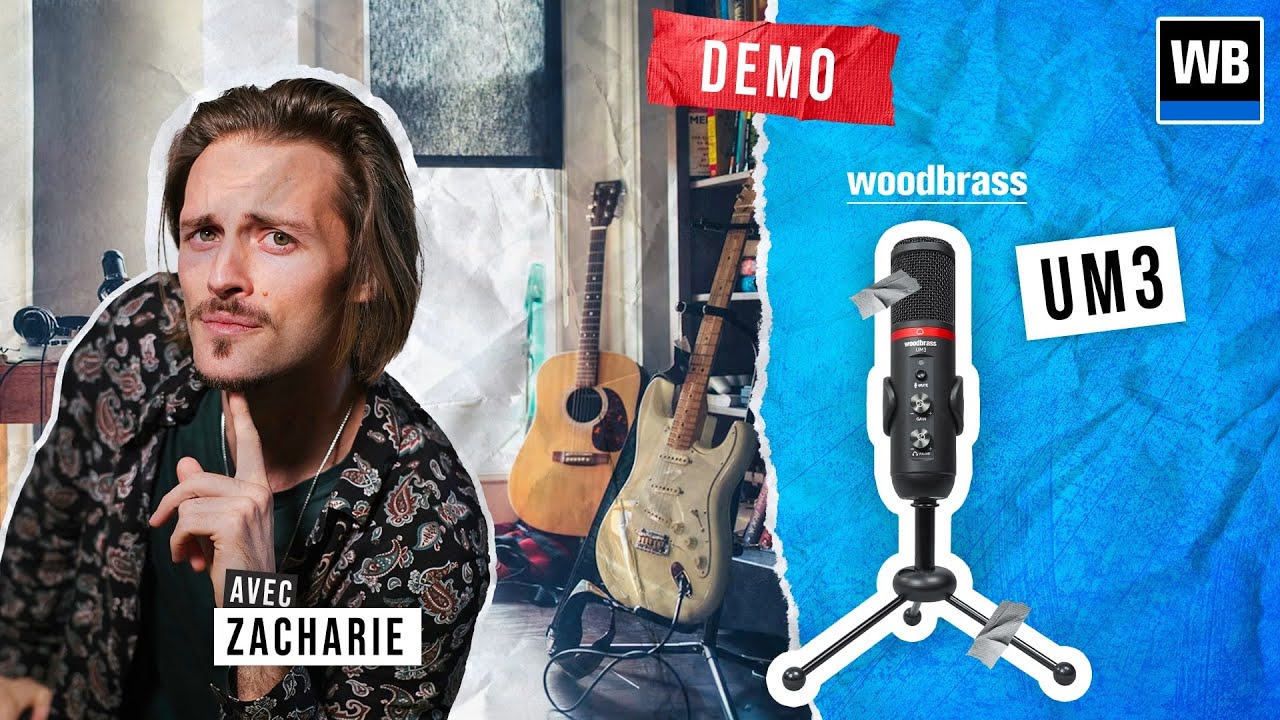 Micro USB Woodbrass UM3 - Le meilleur rapport qualité/prix du marché ...