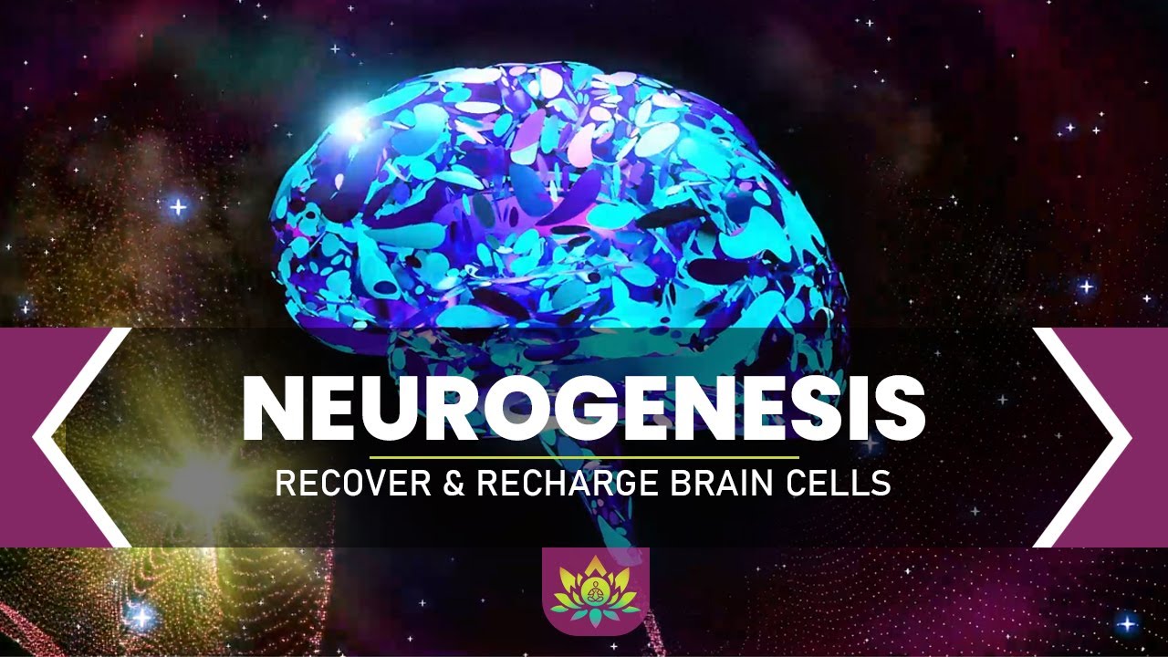 NEUROGENESIS | Recover, Regrow & Recharge Brain Cells | Healing For ...