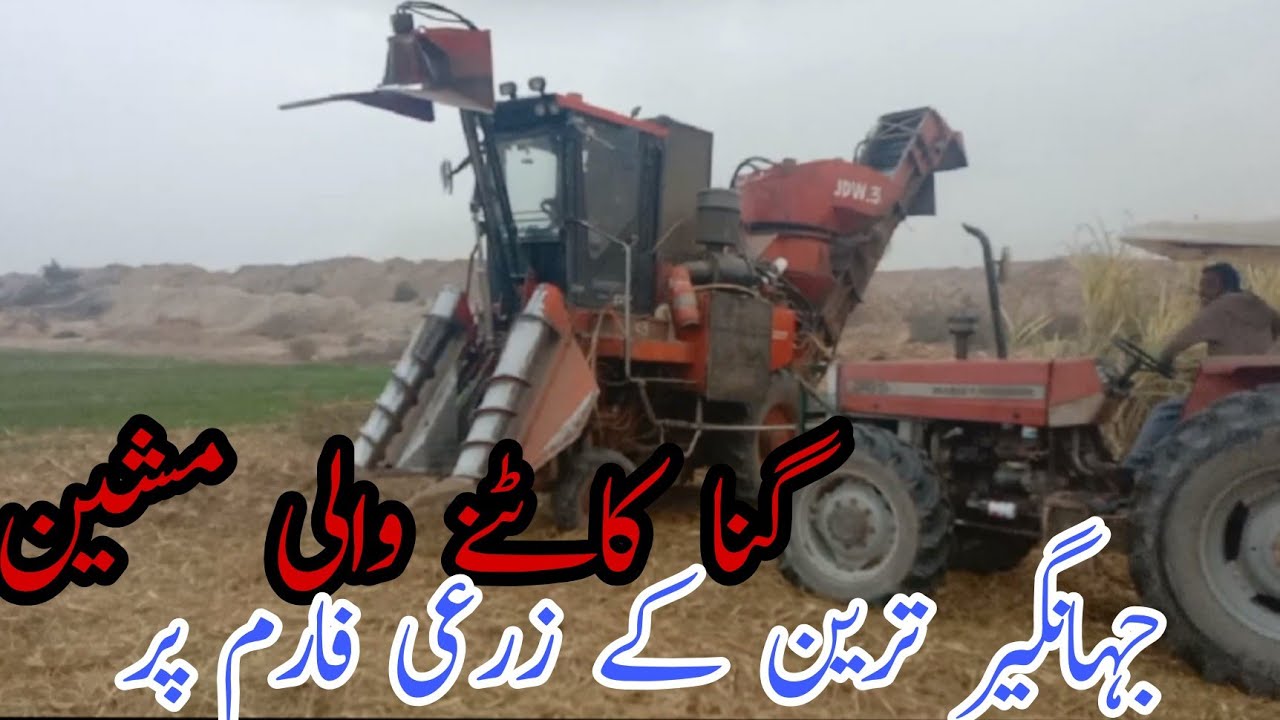 Visit to Jahangir Khan Tarin's Zari Farm - YouTube