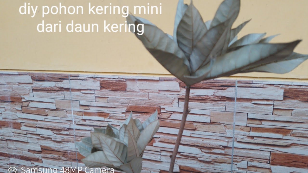 Diy pohon mini dari daun kering#craft#diy#kerajinan bahan alam - YouTube