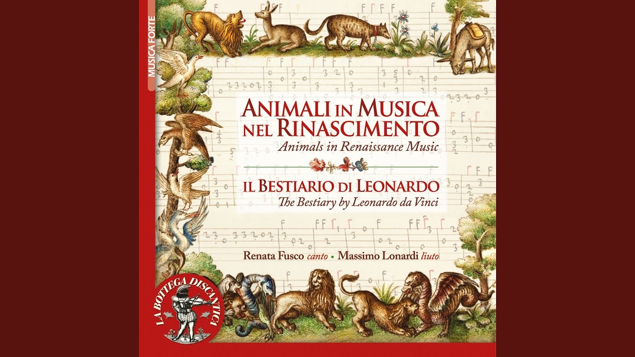 The Goat (Lute Only) - YouTube