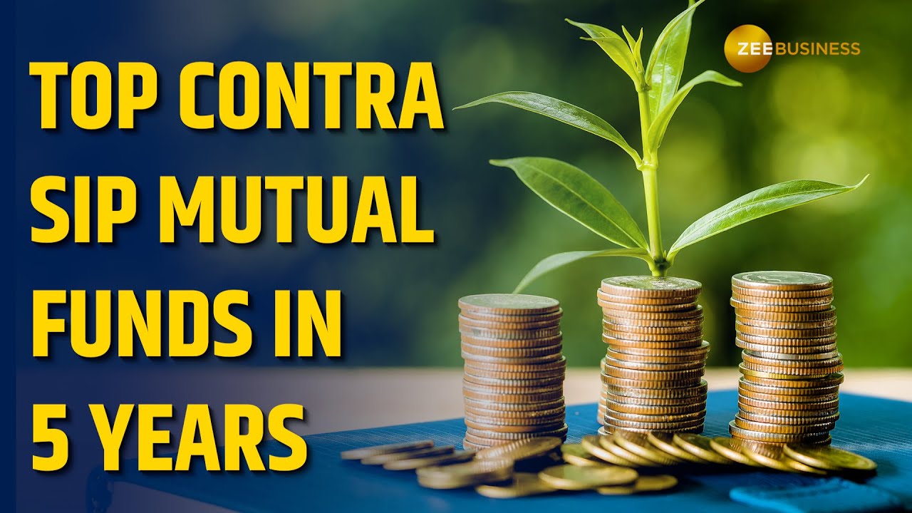 Top Contra Mutual Fund With Highest SIP Returns | Personal Finance ...