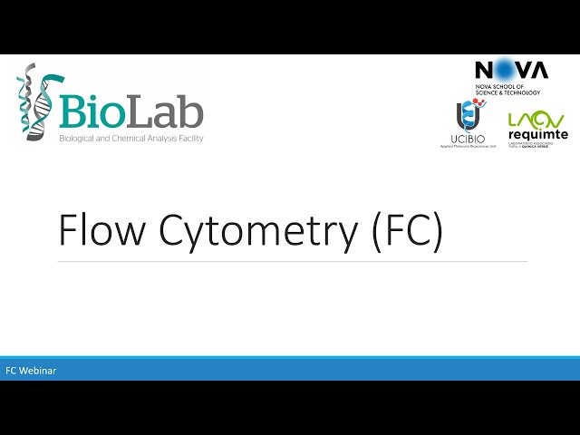 Ppt Introduction To Flow Cytometry Powerpoint PPT Basics Of Flow