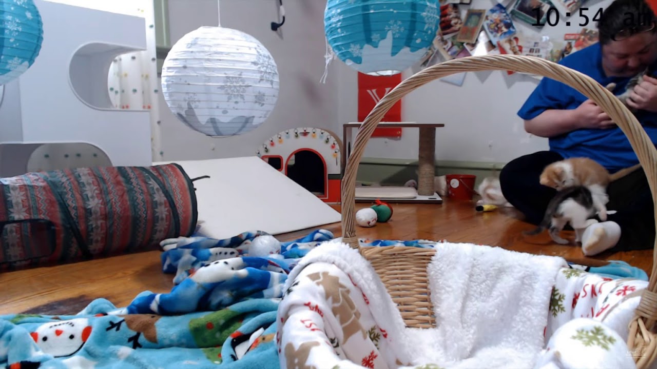 KitKat Playroom - Morning Snuggles and Kisses - YouTube