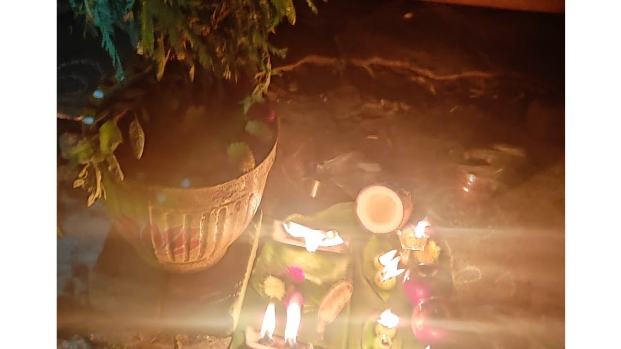 kartikamasam dwadasadepalu tulasi Puja in my home 🙏devansh Puja allari - YouTube