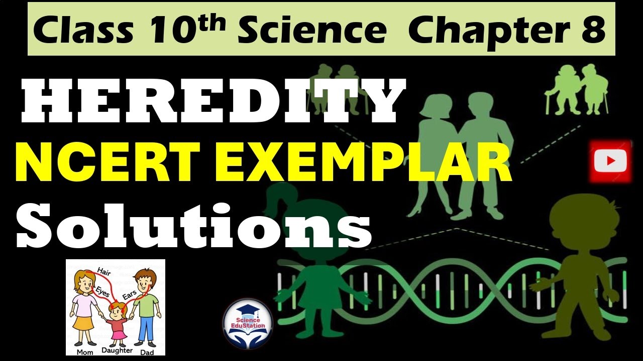 NCERT Exemplar Solutions | Heredity Class 10 Chapter 8 ...