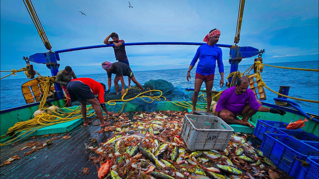 Amazing!!😮😮 | We Traveled For Long... | Deep Sea Catch| We Catch ...
