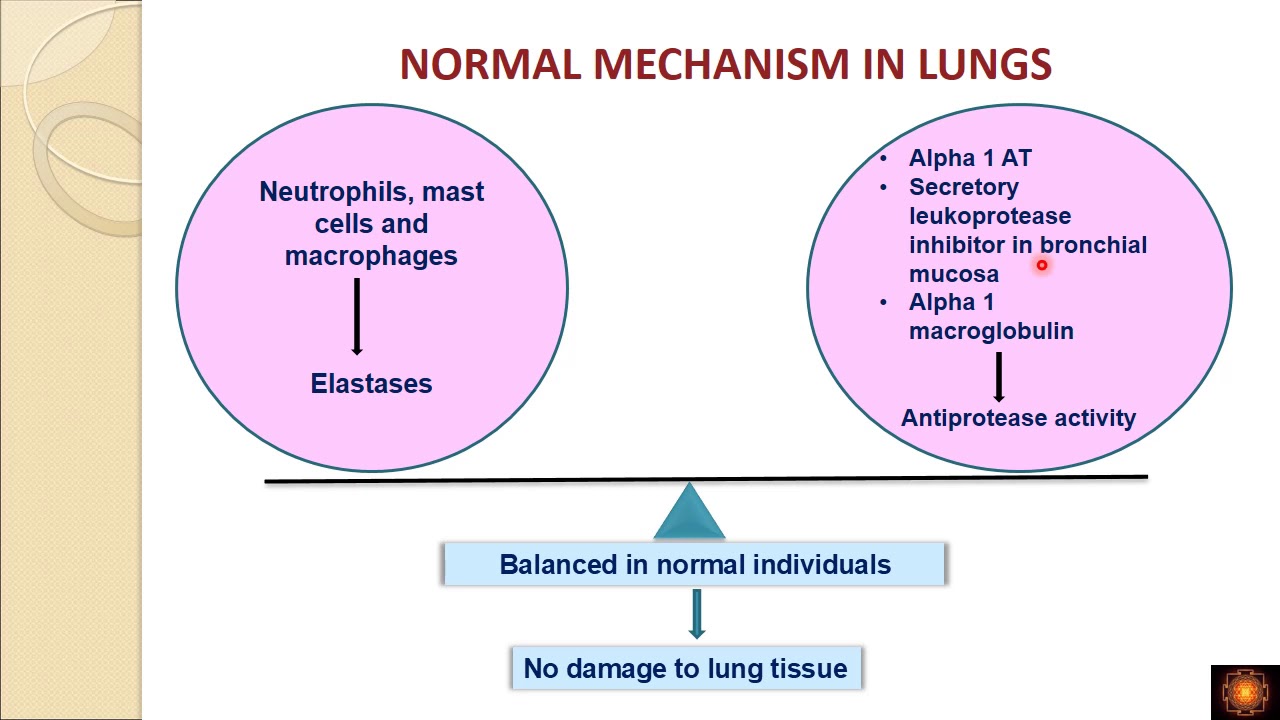 Emphysema- Pathogenesis - YouTube