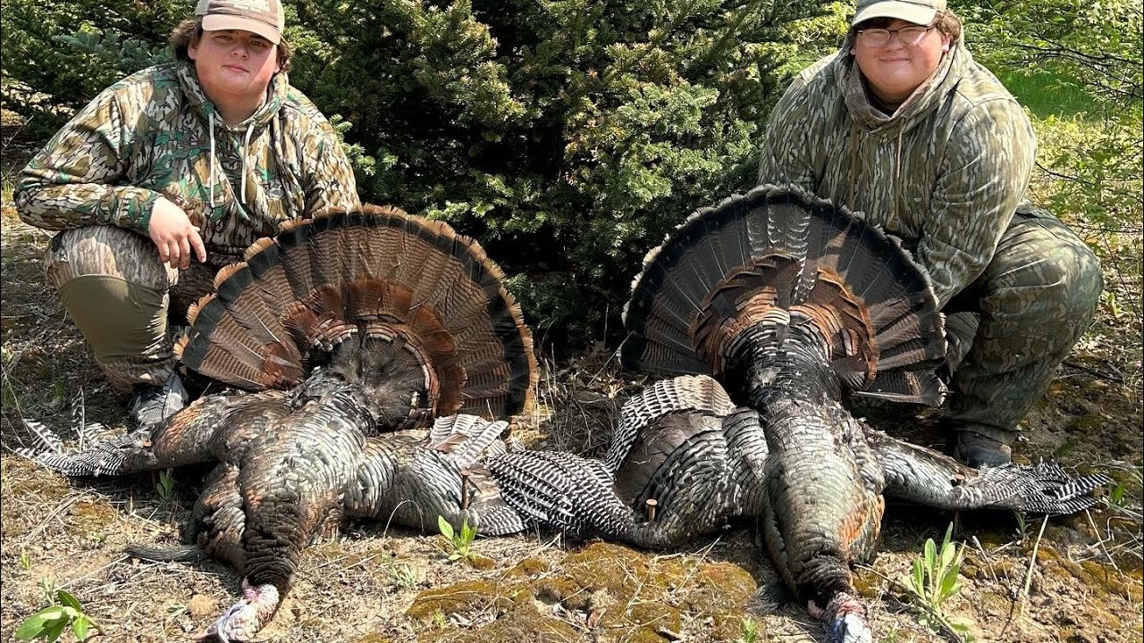 Beautiful footage of a double! “Turkey Hunting” - YouTube