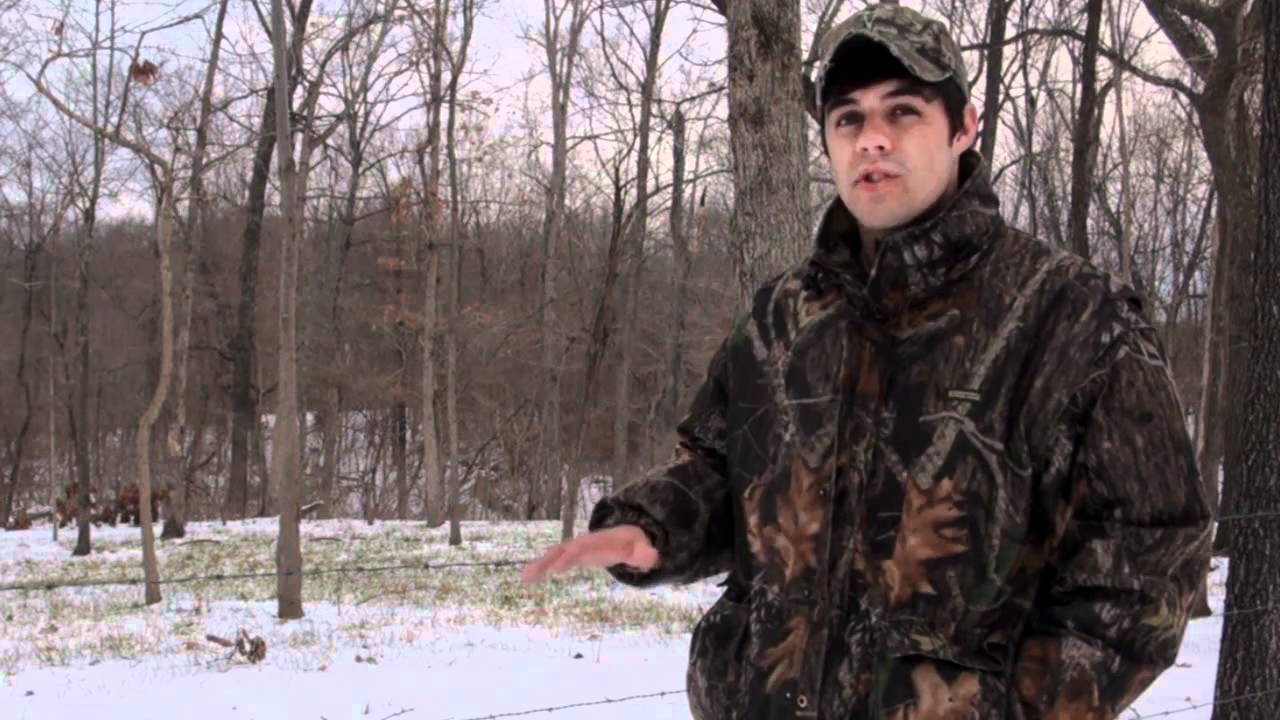 Winter Food Plots: The Huntin Grounds: Deer Hunting - YouTube