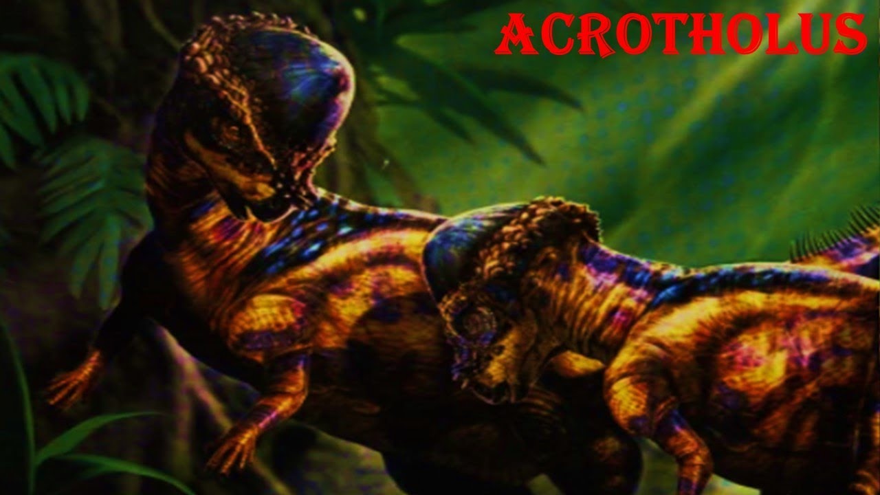 Acrotholus - YouTube