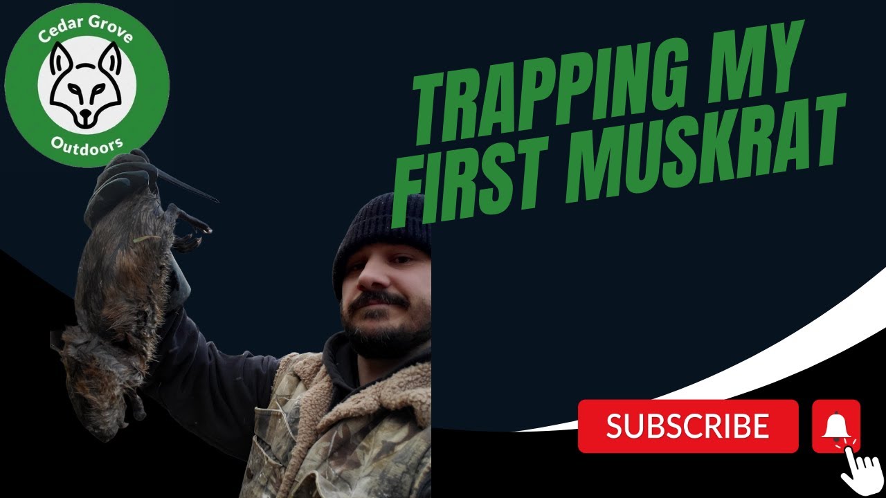 S.2 E.8 Trapping My First Muskrat - YouTube