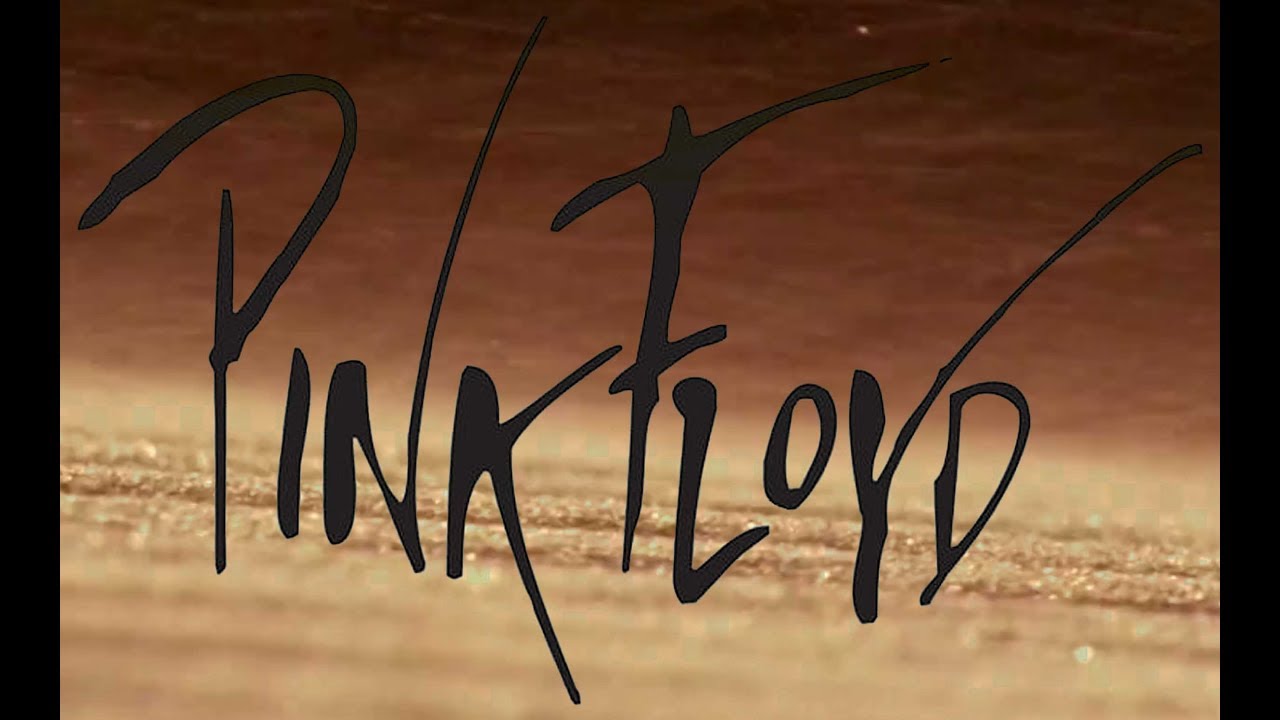 Pink Floyd - Coming Back To Life - YouTube