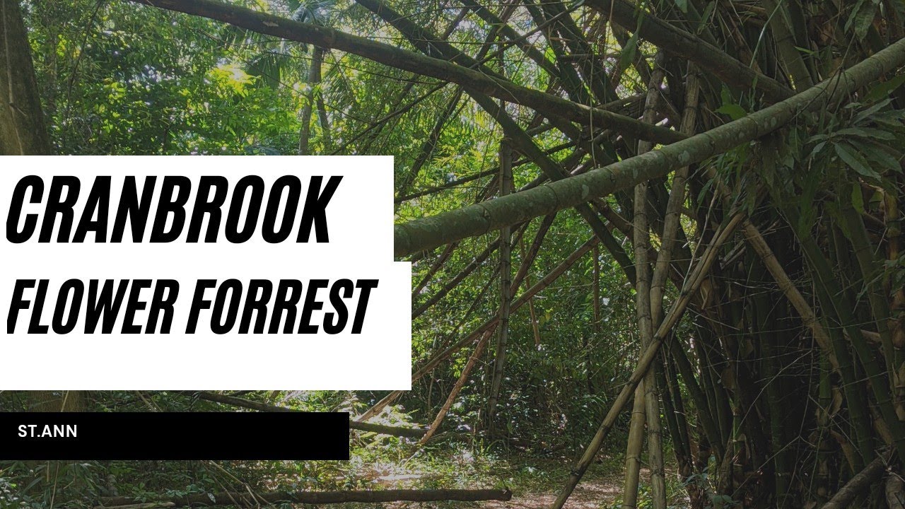 Cranbrook Flower Forest, St. Ann|| Adventures with Neeshuur - YouTube