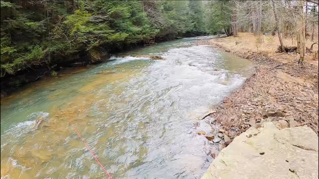TROUT FISHING Small PA Streams For The Most Beautiful Wild Brown Trout ...