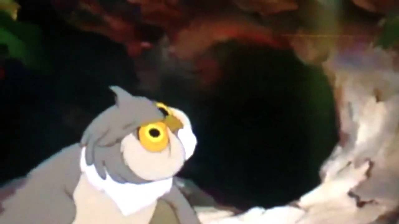 Friends Owl Tells Ronno to Stop That Racket - YouTube