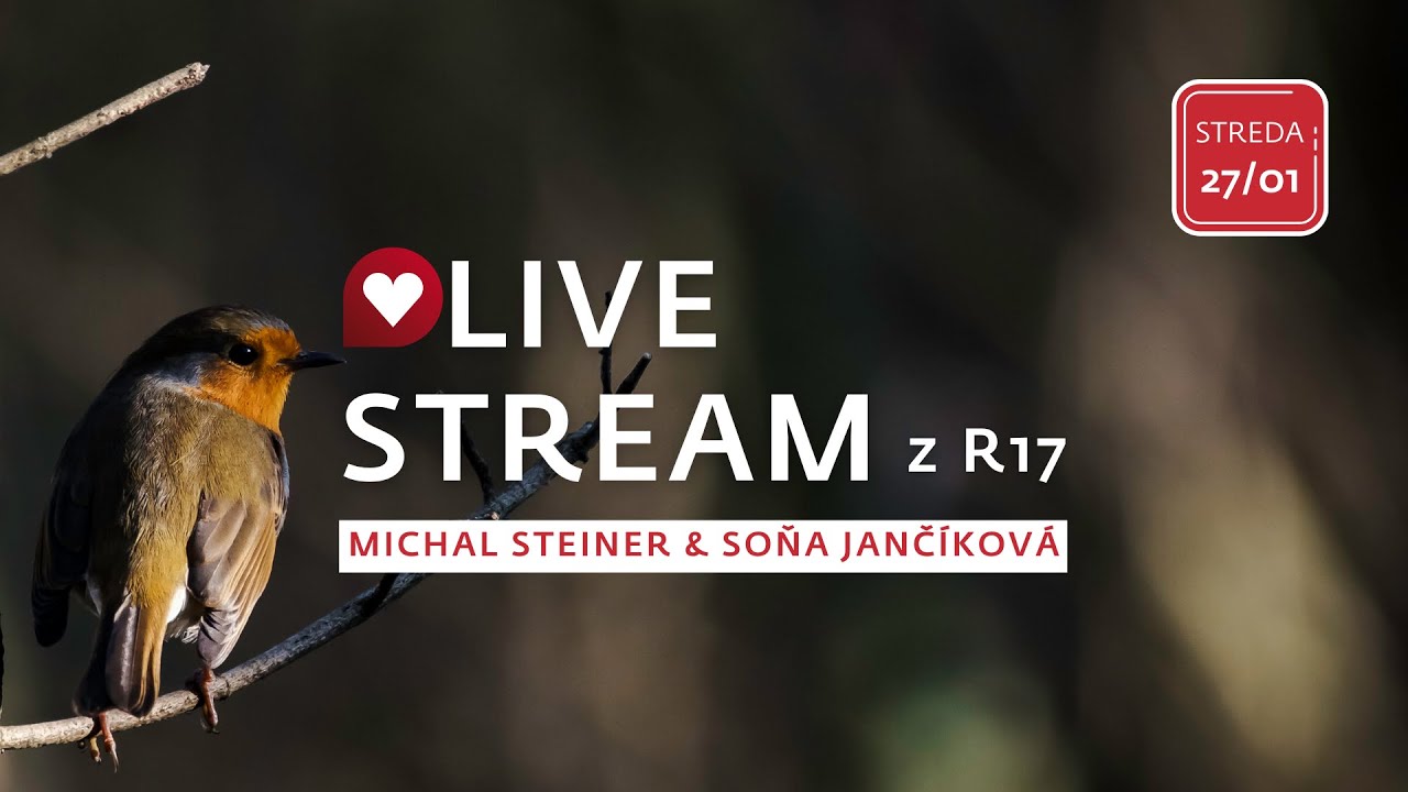 STREDA 27.1.2021 - Michal Steiner & Soňa Jančíková - YouTube