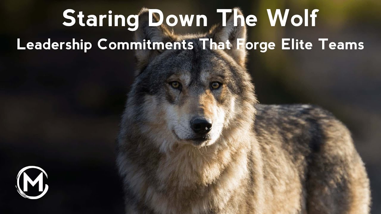 037 Staring Down The Wolf | Leadership Commitments That Forge Elite Teams ~ Man of Mastery - YouTube