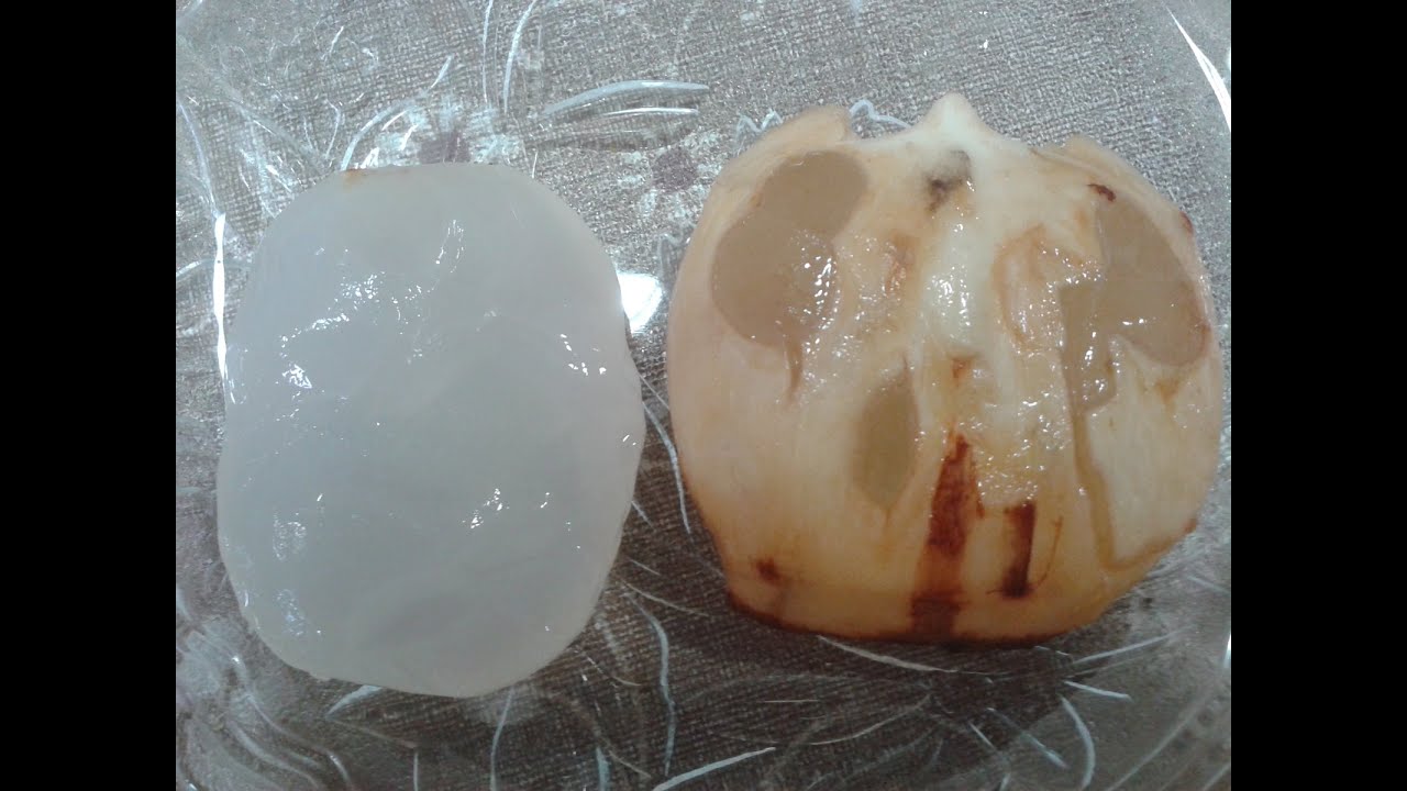 Extracting and peeling of the Tadgola - YouTube