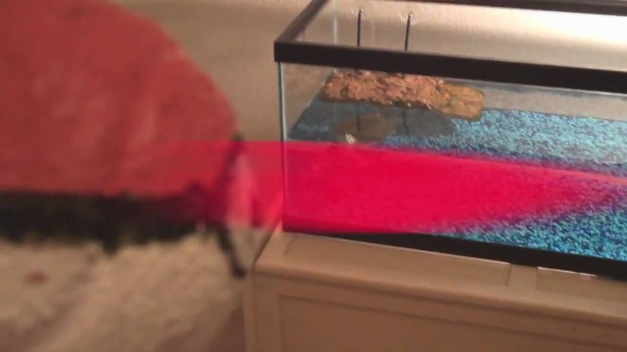 Pokeball Return! Test - YouTube
