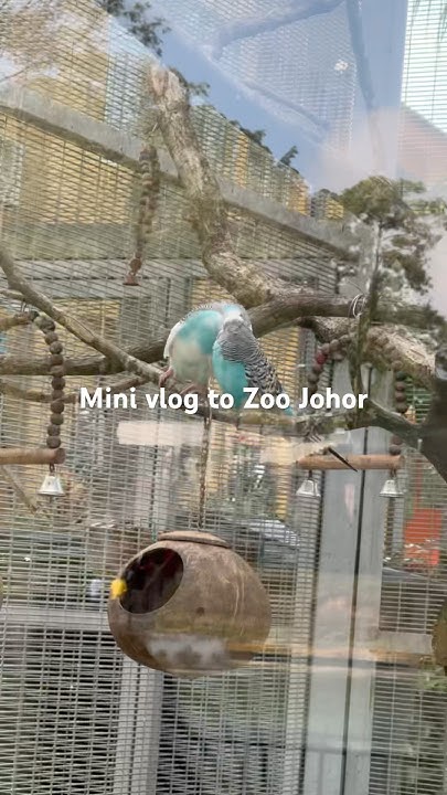 Zoo#zoo - YouTube