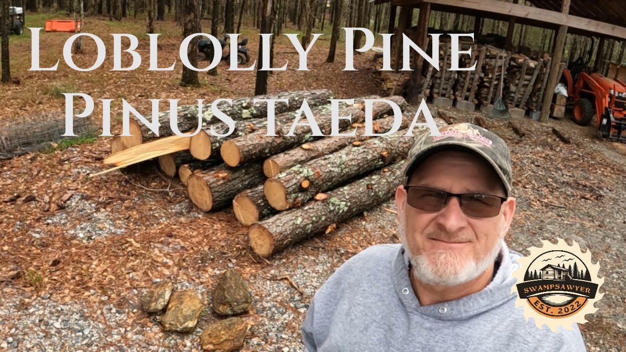 Pine, loblolly pine, yellow pine #sawmill #woodmizer #lt35 #countrylife - YouTube