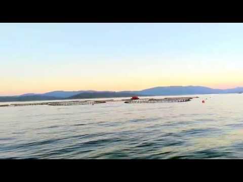 Bodrum Tekne'den Manzara (4K)