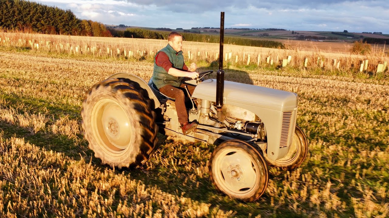 Ferguson TEA20 Engine Rebuild - YouTube