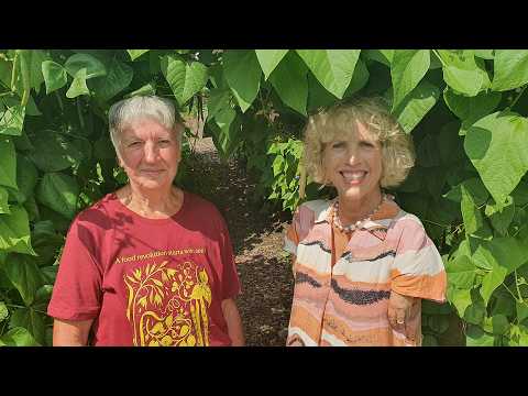 Gardeners' World 2026 Ep3 | Seed Sowing Masterclass, Mini Daffodils & Heirloom Tomatoes