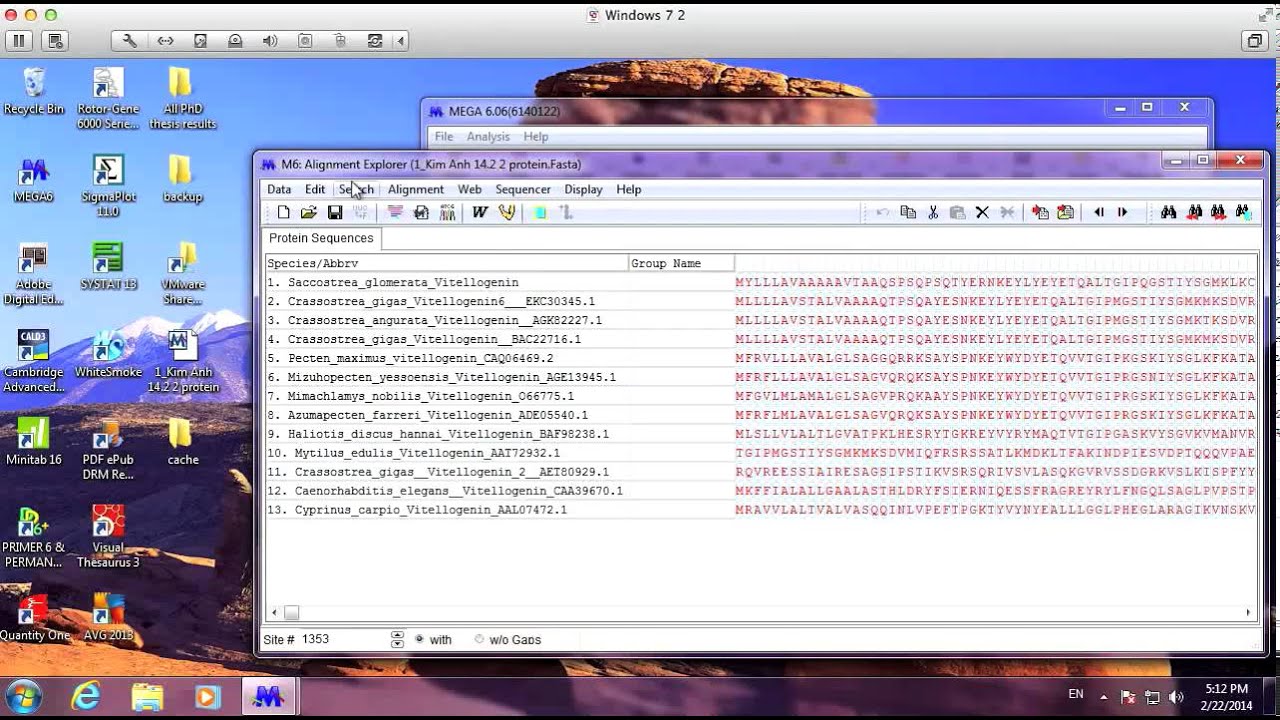Phylogeny MEGA6 part 1 - YouTube