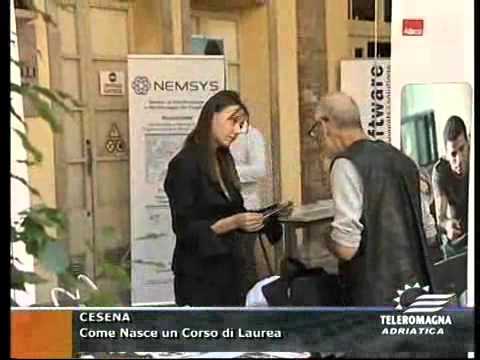 Intervista a Davide Trevisani - YouTube