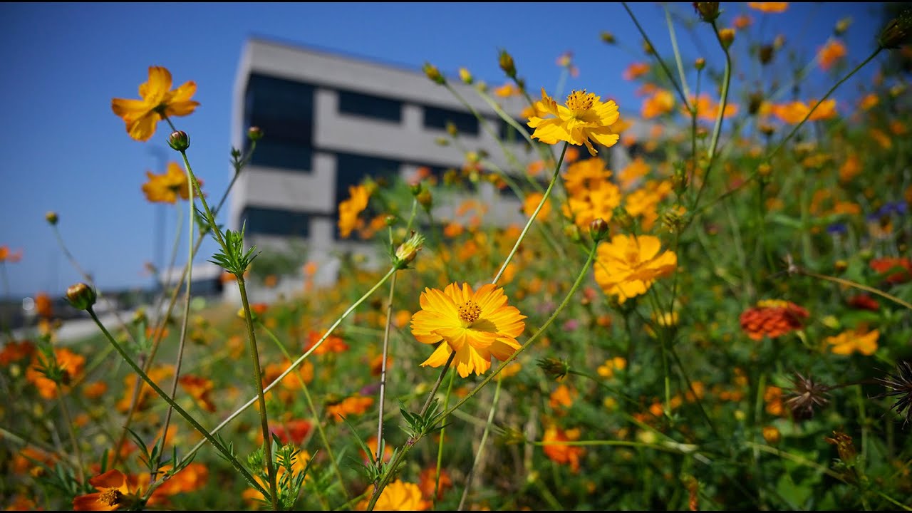 Inside the new James Lawson High School - YouTube