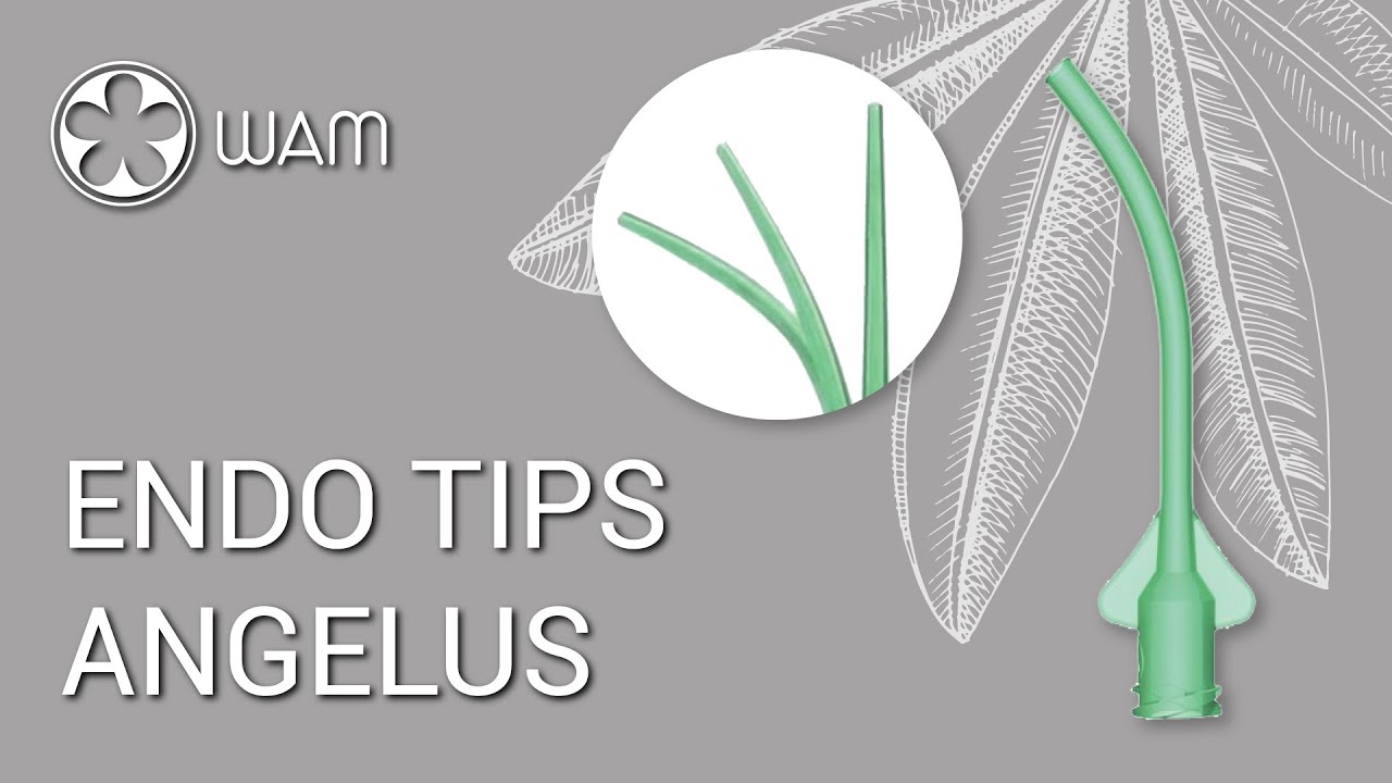 Endo Tips, pointes d’applications fines et atraumatiques - Angelus ...