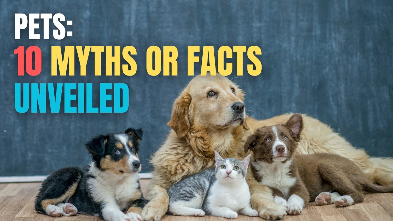 10 Pet Myths Unveiled: Separating Fact from Fiction! | Myth or Fact ...