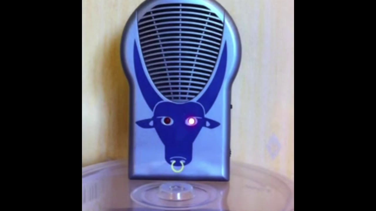 BullSHIT detector/radar activated meme - YouTube