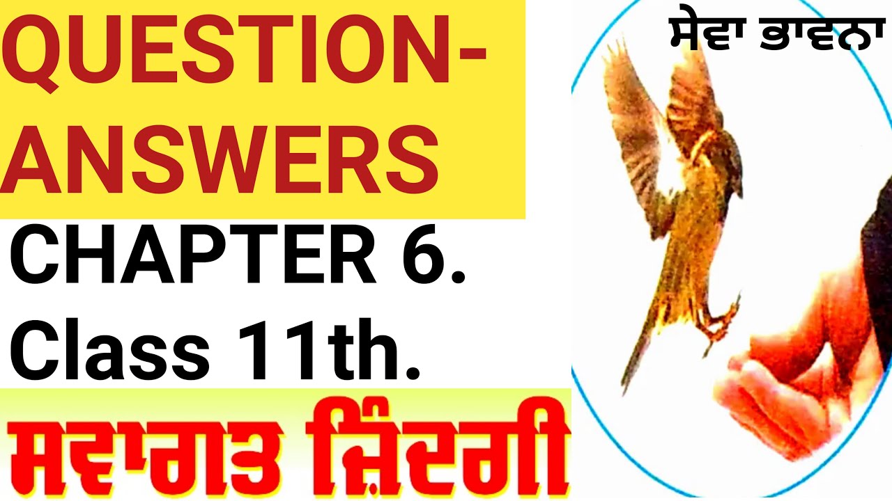 Welcome Life Subject Pseb 11th Class Chapter 6 Question Answers welcome-life-subject-pseb-11th-class-chapter-6-question-answers