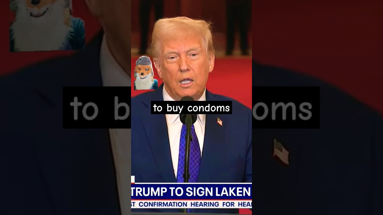 The Orange Fox 50 Million Shades Of Condoms #shortsfeeds #effortforever ...